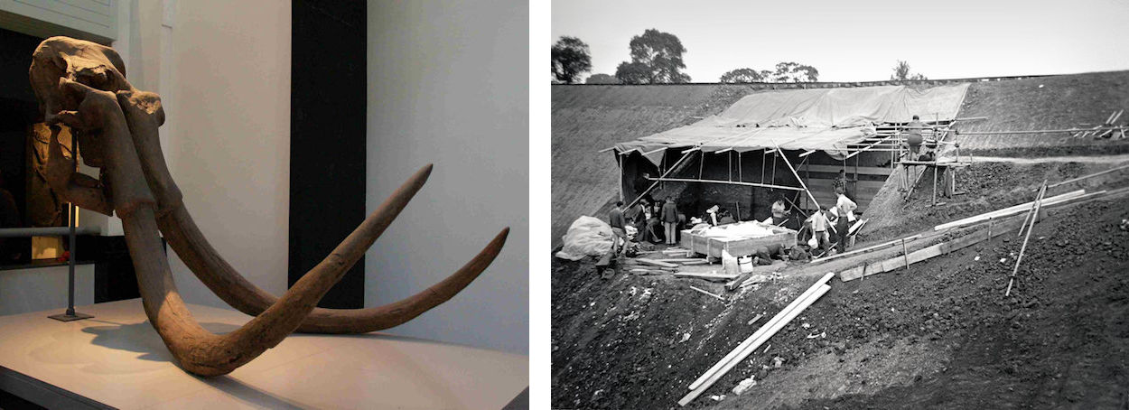 The Arrival of Humans – GeoEssex