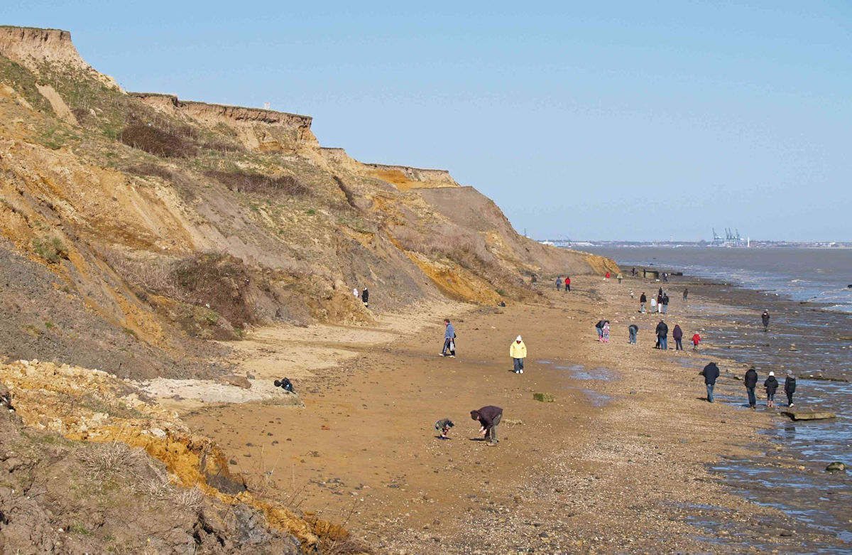 The Red Crag – GeoEssex